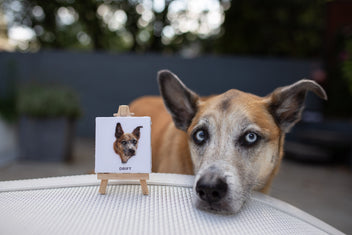 Little Felted Friends